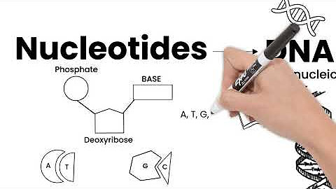 Biology 30: Cell Division, Genetics and Molecular Biology - YouTube