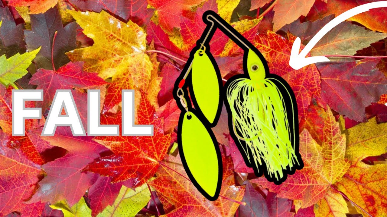 WICKED FALL Fishing BITE - San Antonio, TEXAS - YouTube