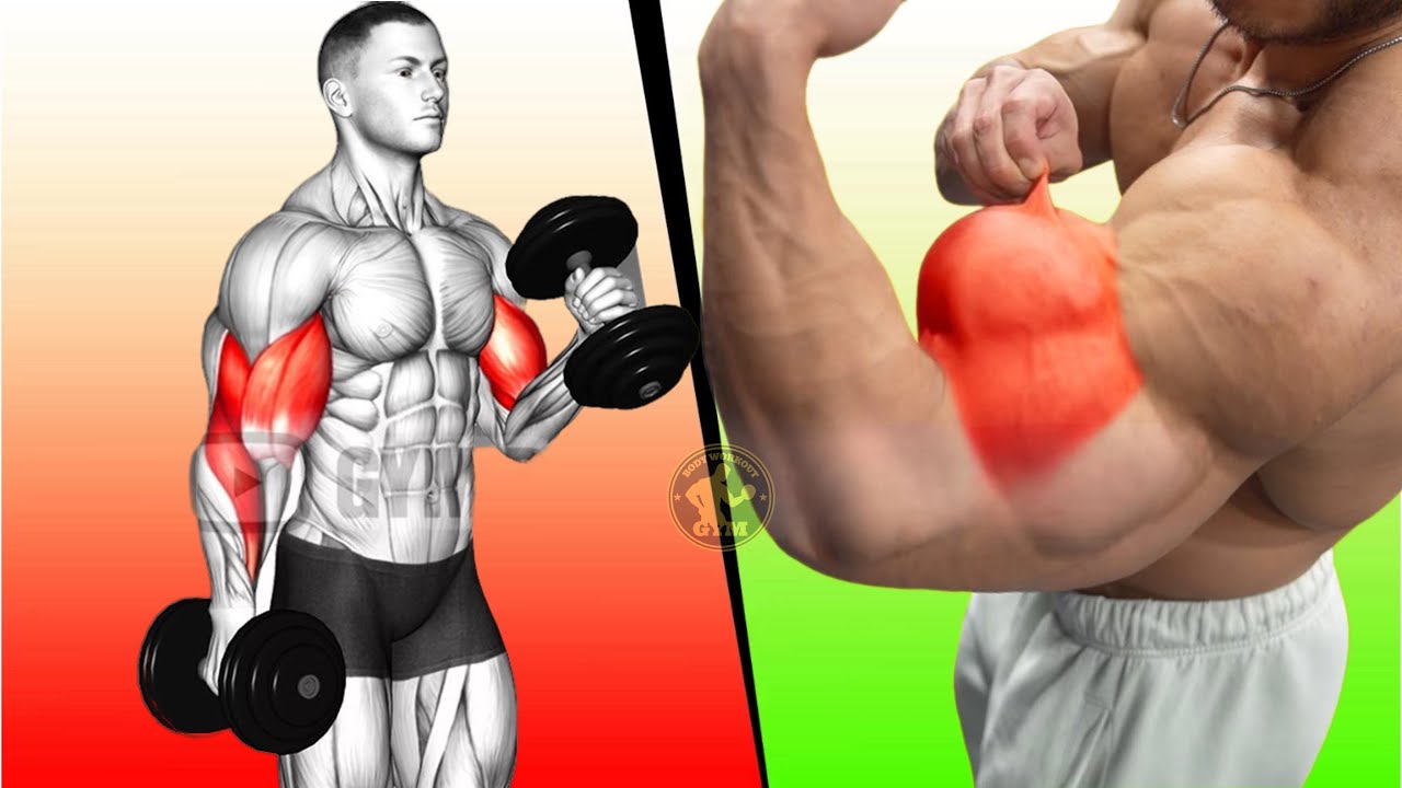 BEST EXERCISES TO GET WIDER BICEPS - YouTube