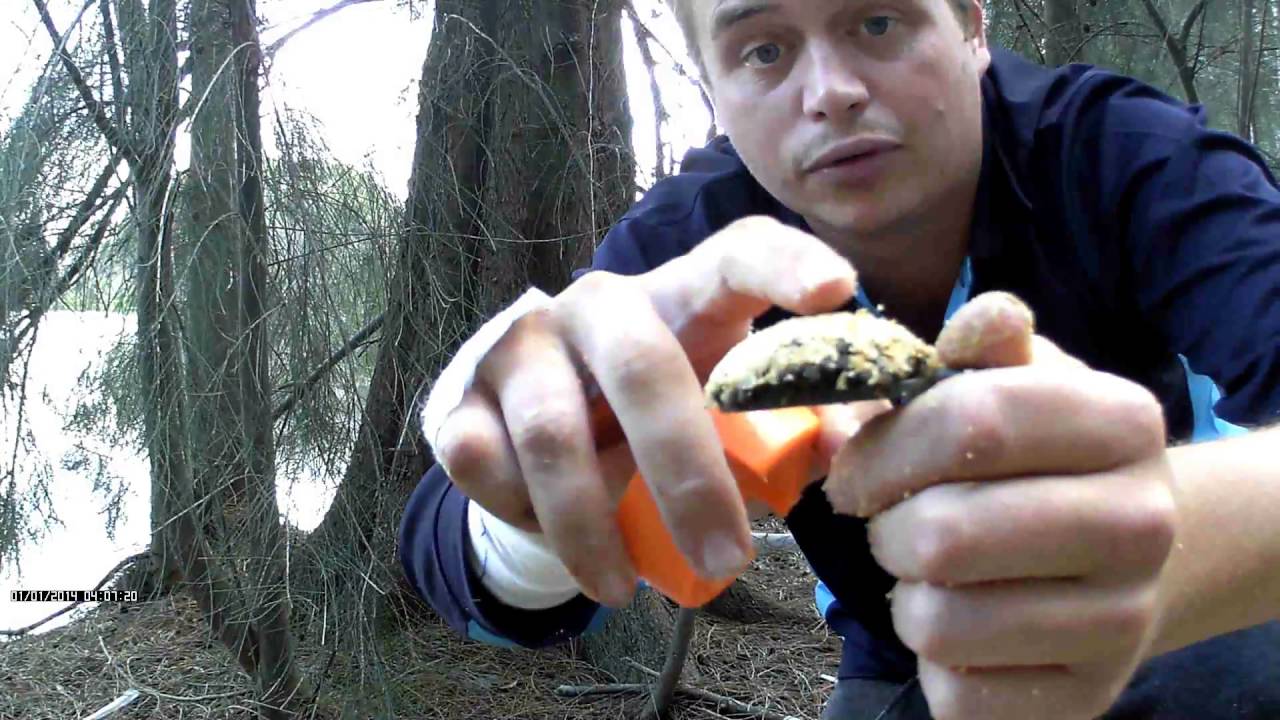Bank Angler Australia - YouTube