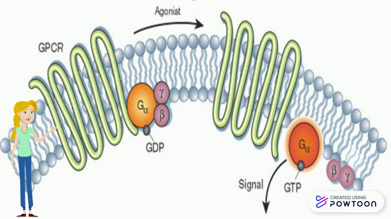 GCPR EXPLAINED - YouTube