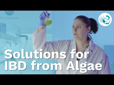 Dr. Avni Talks about IBD and Finding New Treatment in Algae