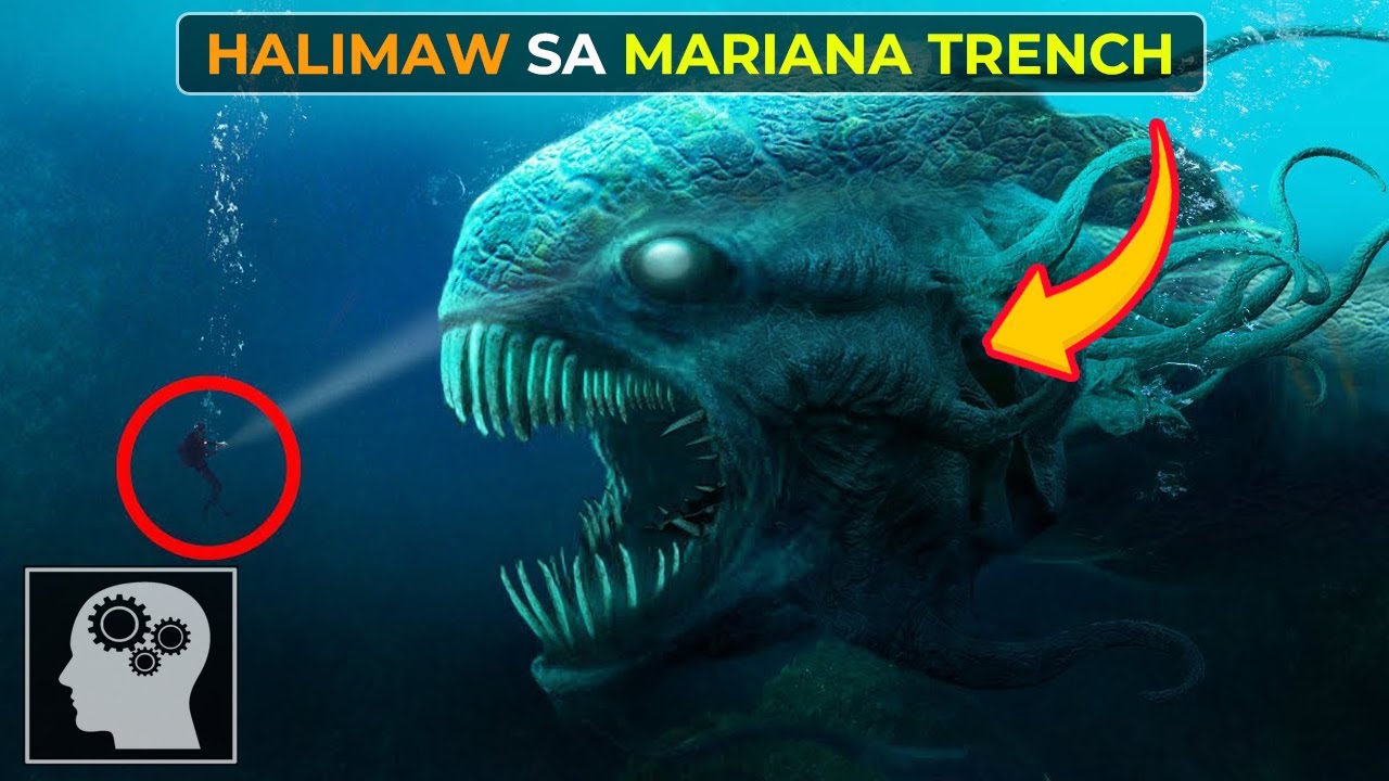 🔴 HALIMAW sa MARIANA TRENCH !!! | Jevara PH - YouTube