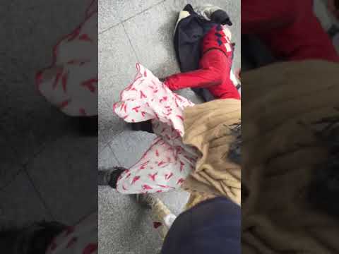 Urari de sarbatori in centru la vaslui2018