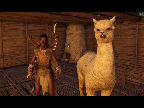 How to get Alpacas in Soulmask - YouTube