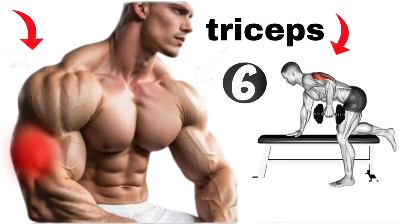 best exercise for bigger triceps workout | triceps workout at gym ...