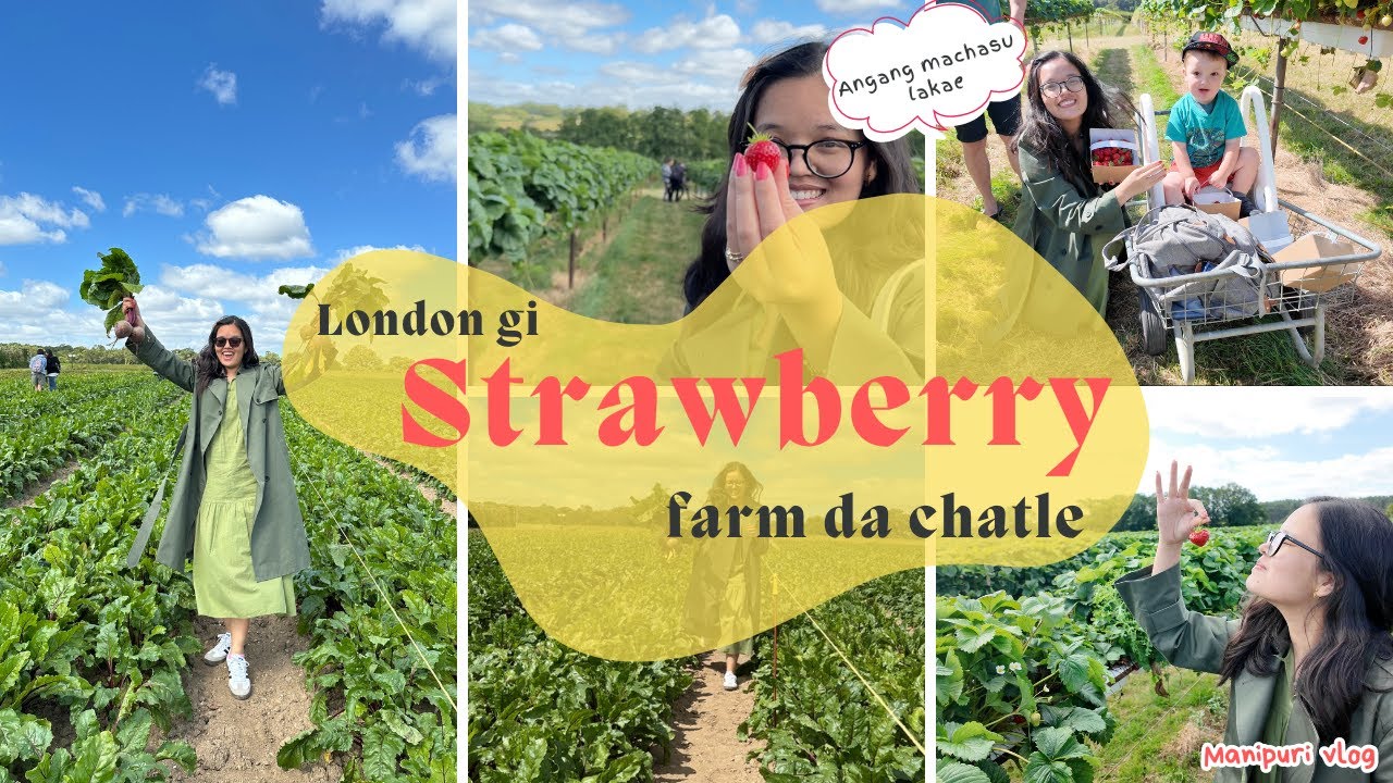 Fruit Picking Fun at Parkside Farm in London - YouTube