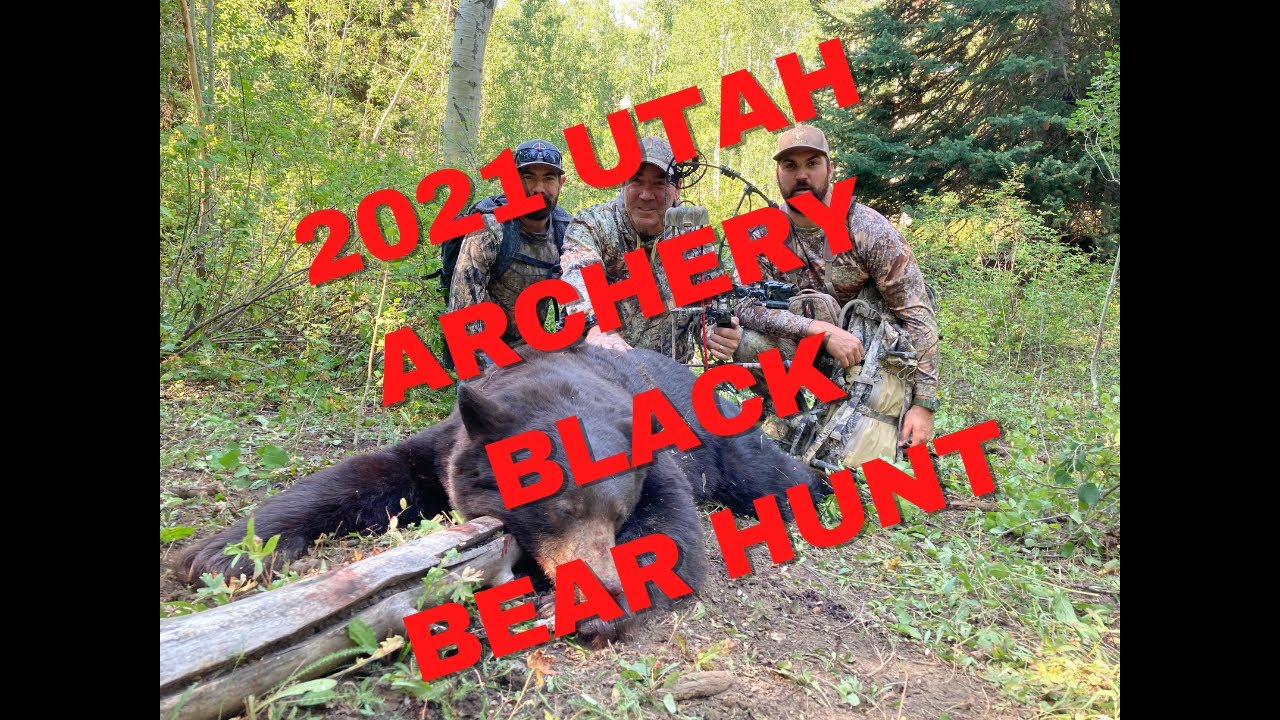 2021 UTAH ARCHERY BLACK BEAR HUNT | COLBY'S DAD GETS IT DONE!!! - YouTube