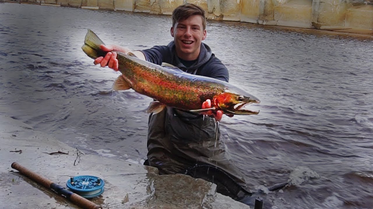 LATE Spring Steelhead in Michigan - Crazy Road Trip - YouTube