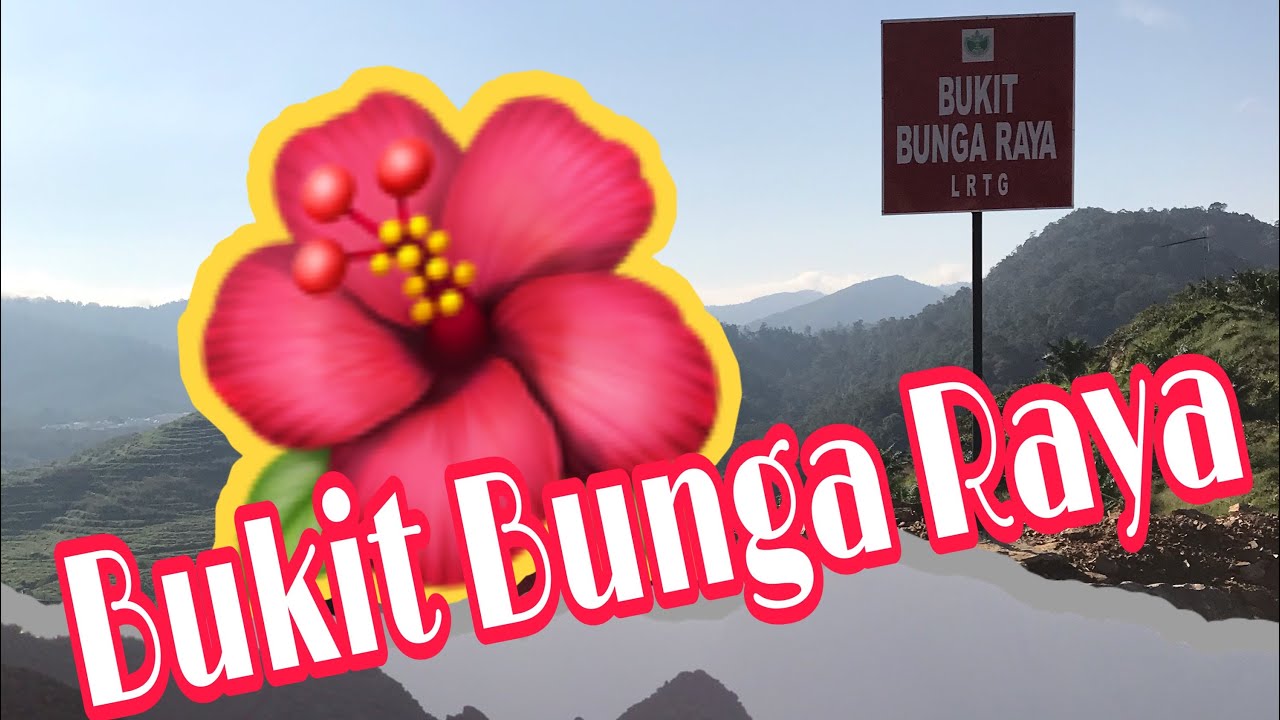 Hiking Bukit Bunga Raya, Sintok, Kedah - YouTube