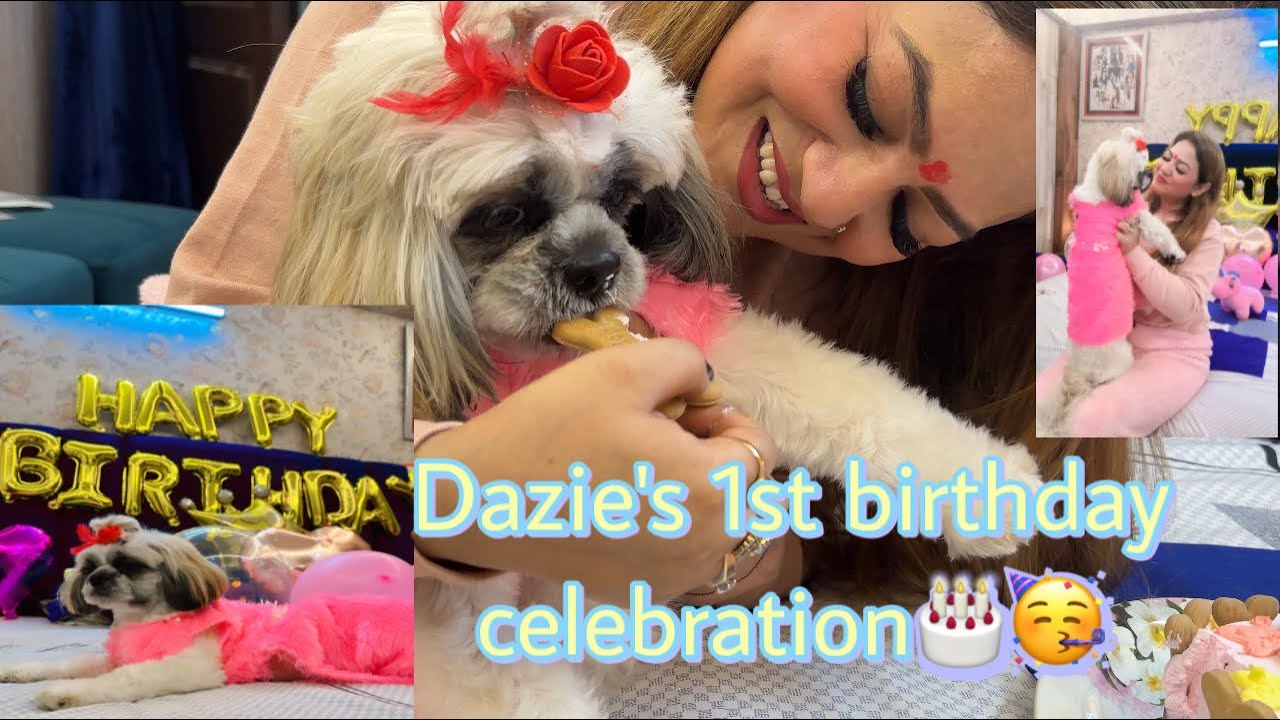 Dazie’s 1st birthday celebration 🎉🎂 ️ 🧿 #vlog - YouTube