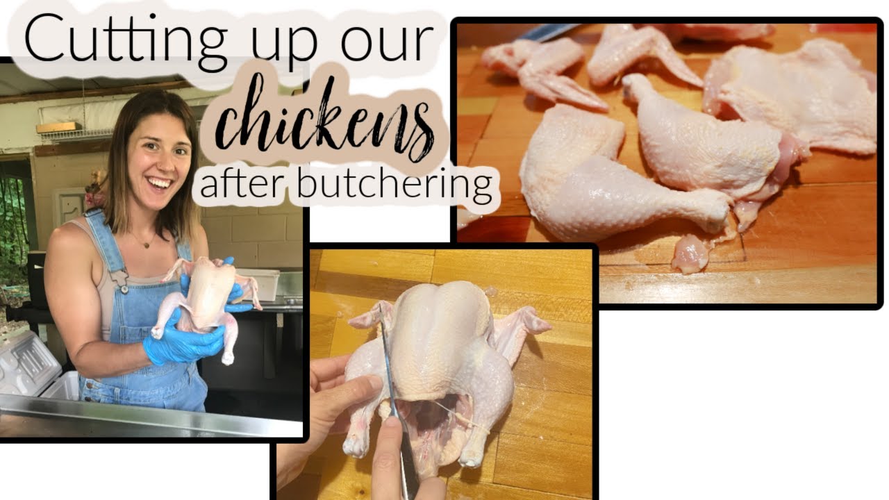 CHICKEN CUTS - How to cut up a whole chicken & what to do with the rest ...