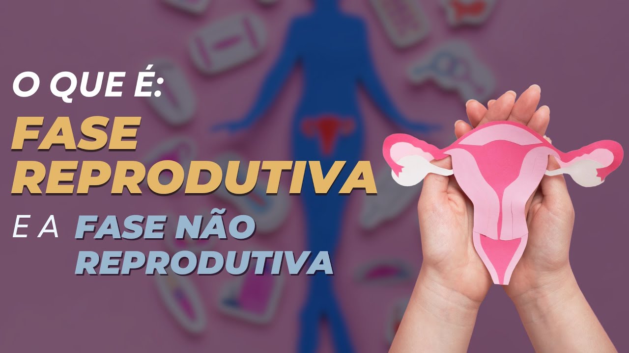 FASE REPRODUTIVA E FAZE NÃO REPRODUTIVA, O QUE É ??? - YouTube