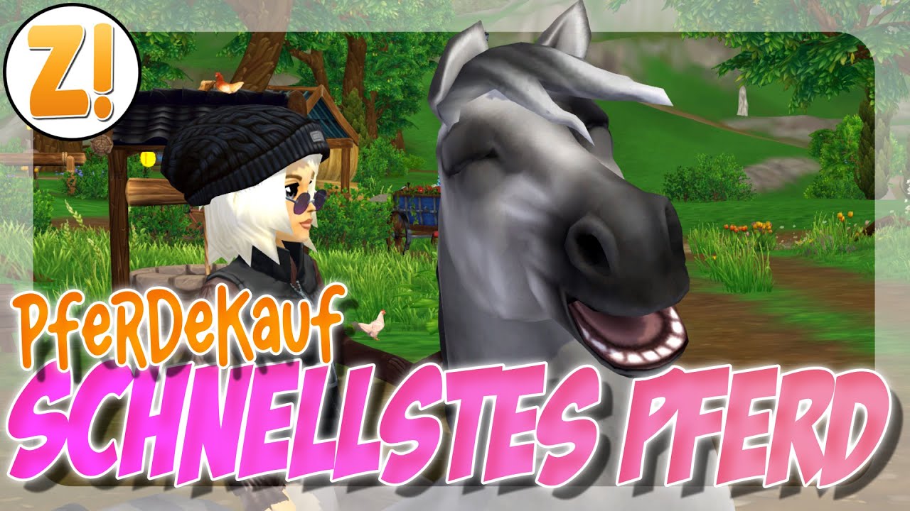 DAS SCHNELLSTE PFERD! 🐴 PFERDEKAUF | Star Stable [SSO] - YouTube