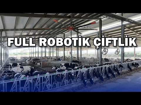 26 Litreden 38 Litreye! 12 Robotlu Çiftlikte Isı Stresini Bitiren Helikopter Fan Teknolojisi