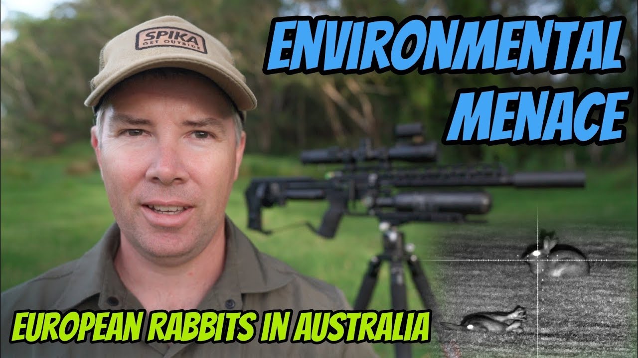 Environmental Menace || Shooting European Rabbits in Australia with an ...