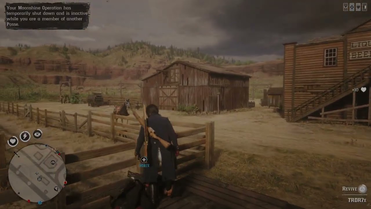 #reddeadredemption 2 #rdo #executing two level 800 players plus hackers ...