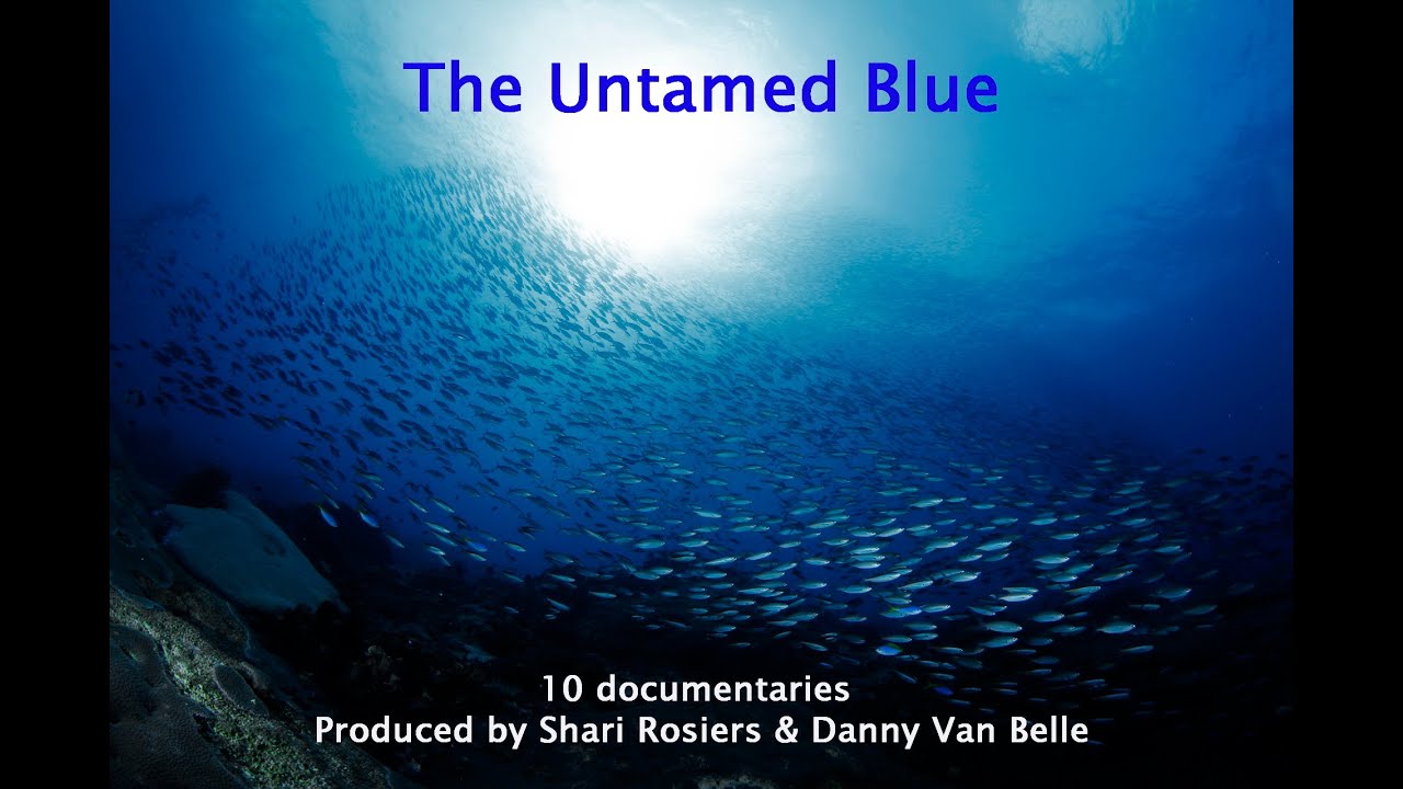 The Untamed Blue - YouTube