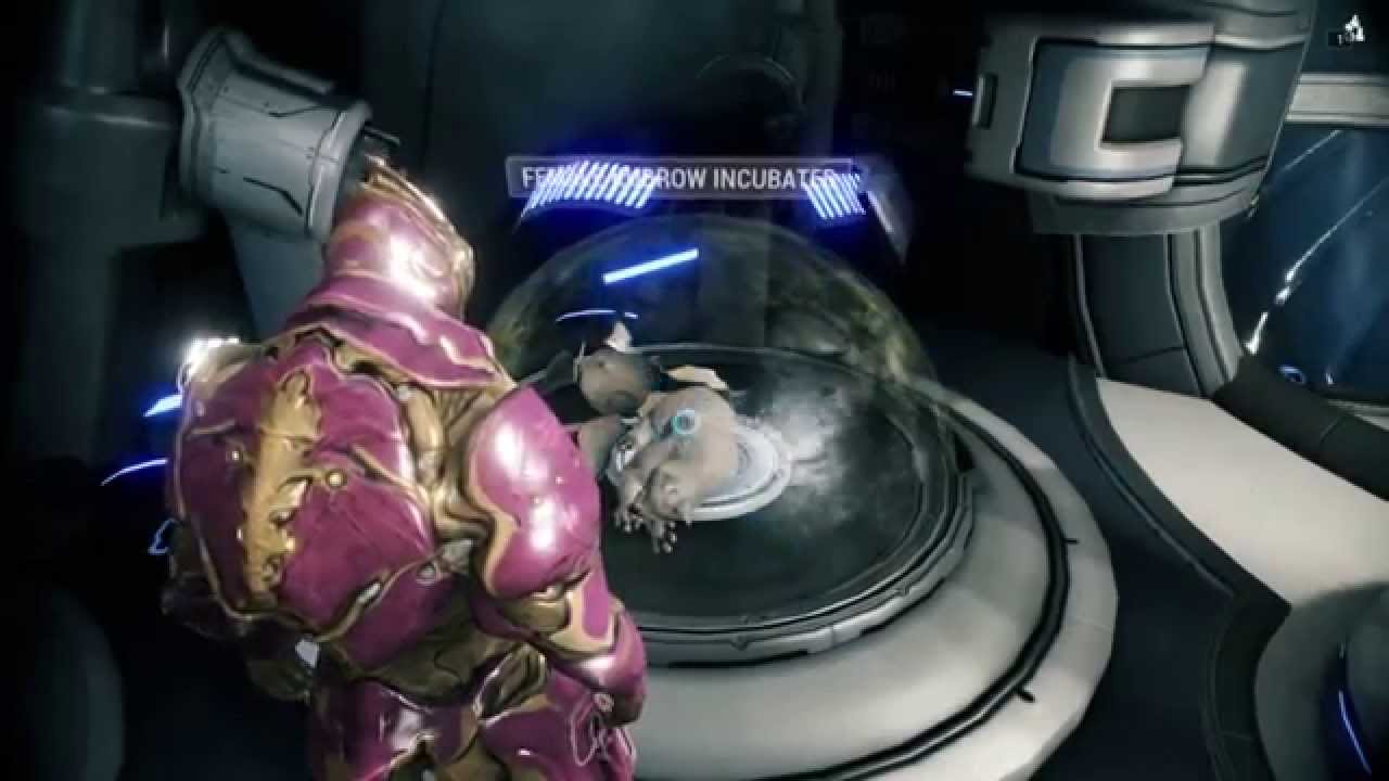 Warframe: Update 14 - Hatching the Great Kubrow - YouTube