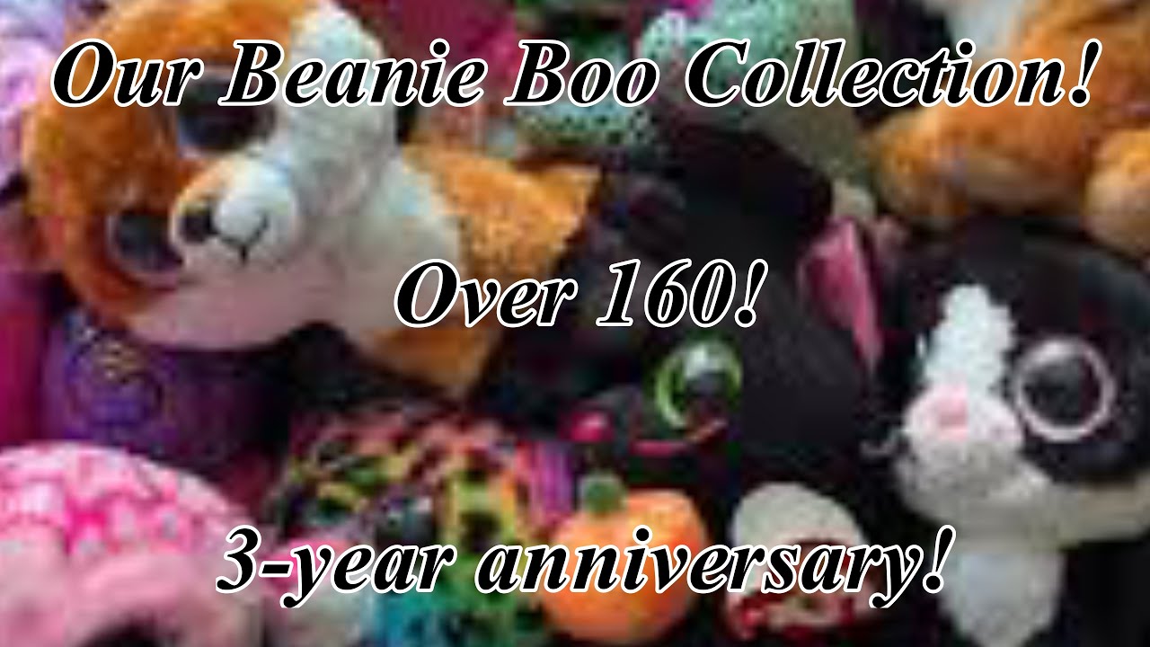 3-Year Anniversary UPDATED BEANIE BOO COLLECTION - YouTube