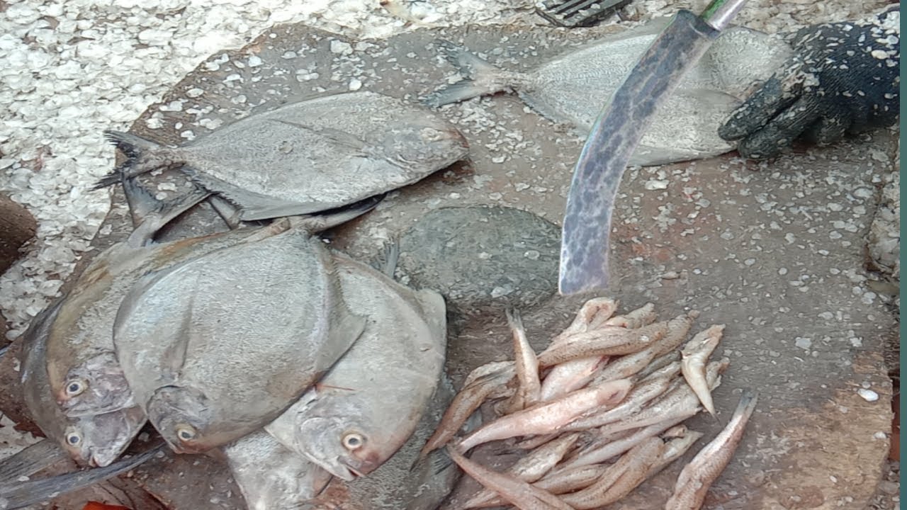 Vavva fish cutting amazing cutting skills out in kasimedu fish cutting ...