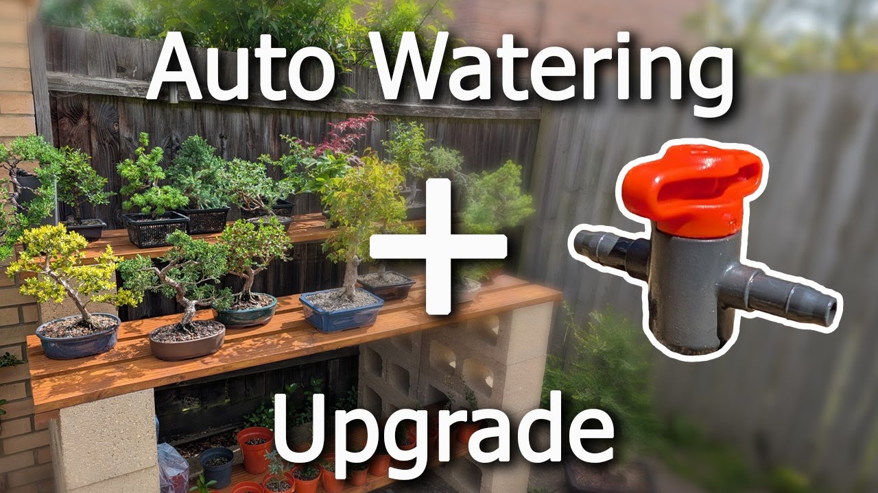 Bonsai Auto Watering System Upgrade - YouTube