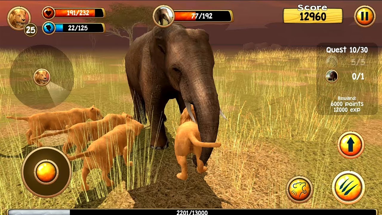 Wild Lion Simulator 3d Android Gameplay Hd 5 Youtube