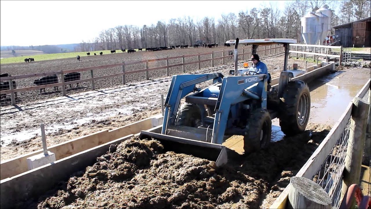 Hauling Cow Manure Youtube