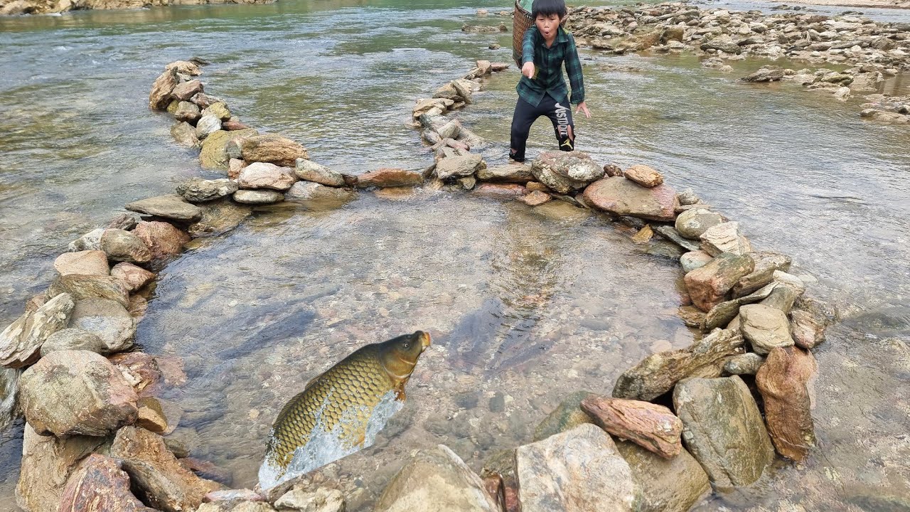 Skills use stone to make fish traps. The boy catch a lot of big fish in ...