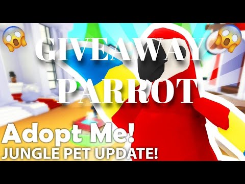 Roblox Adopt me Parrot Giveaway (adopt me ) - YouTube