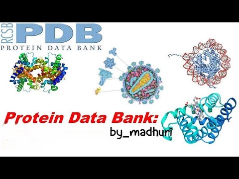 Notes on PDB database bioinformatics #m.sc_zoology #vbu #by_madhuri # ...
