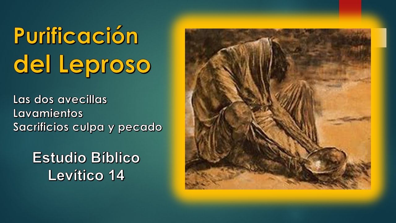 La Purificación del Leproso - Levítico 14 - YouTube