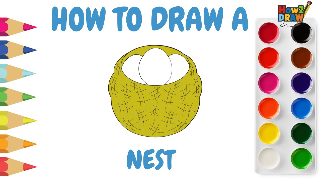 How To Draw | A Nest - YouTube