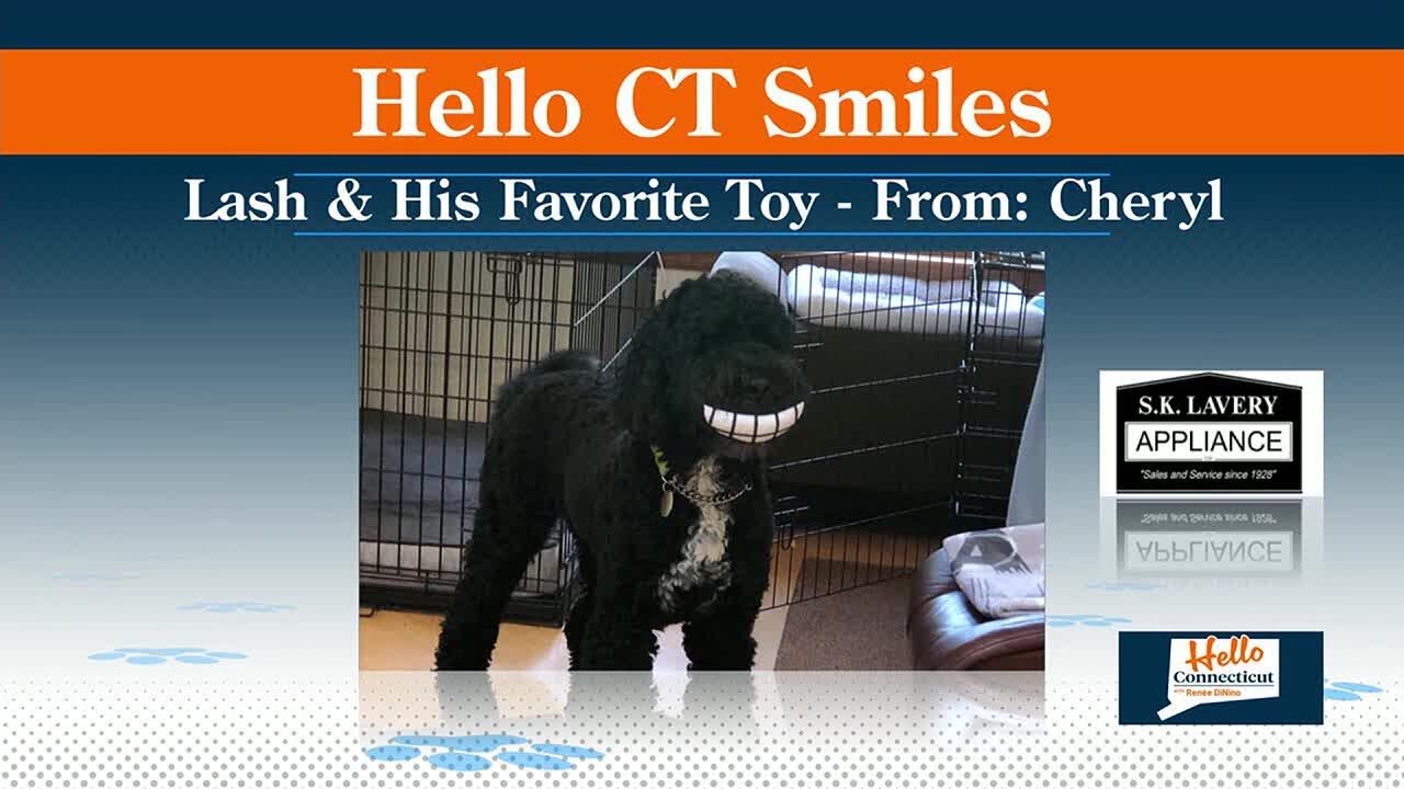 HELLO CONNECTICUT Smiles - YouTube