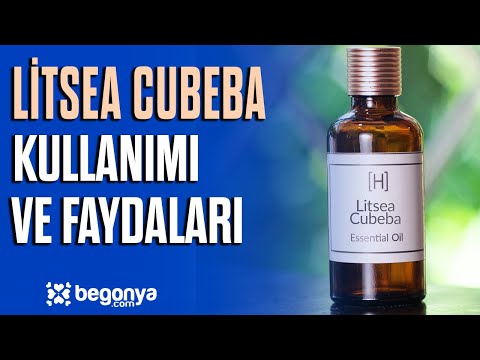 Litsea Cubeba Yağının Faydaları