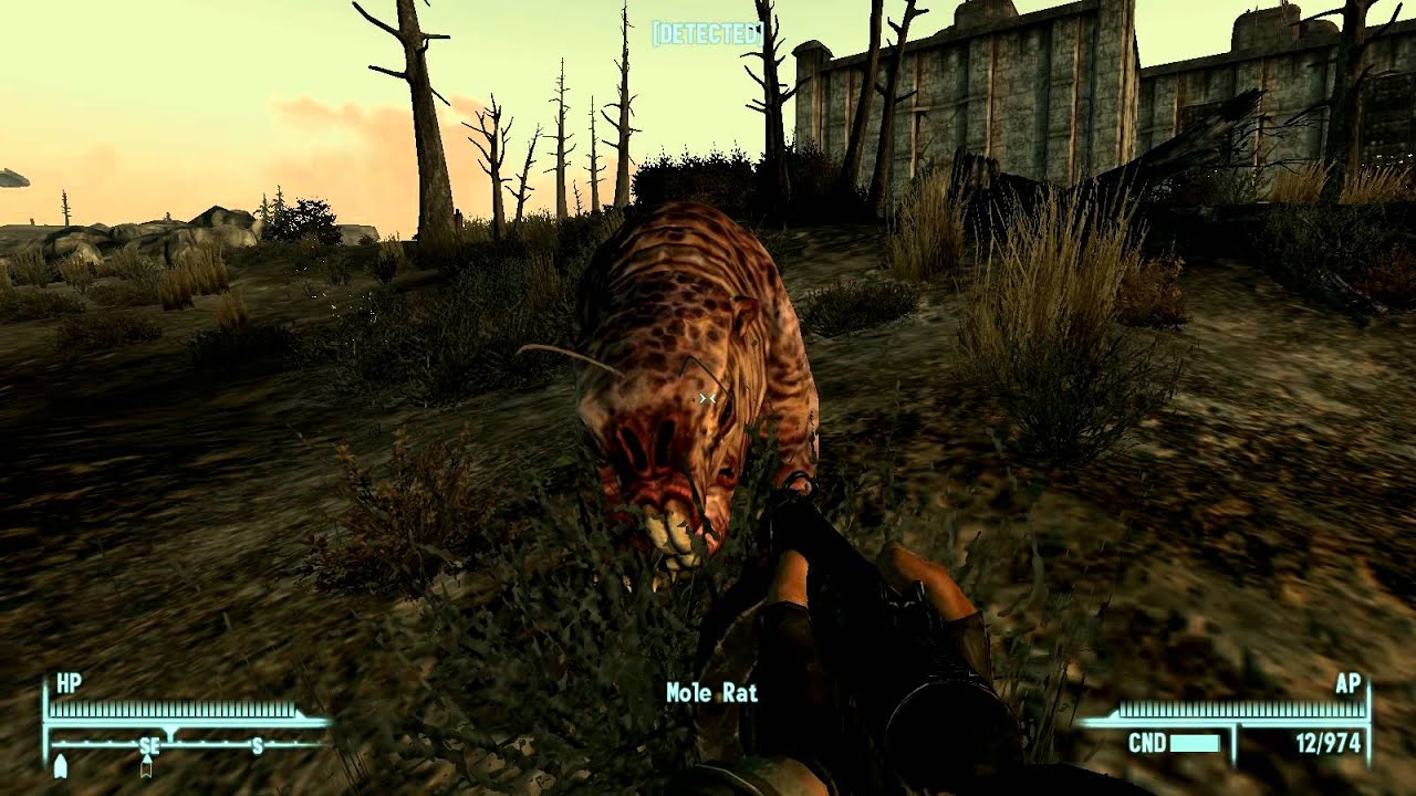 Fallout 3 a cute little mole rat! - YouTube