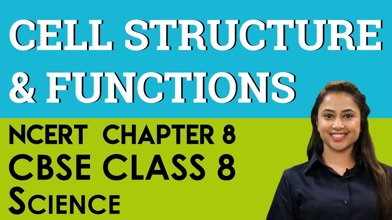 Cell Structure And Functions CBSE Class 8 - YouTube
