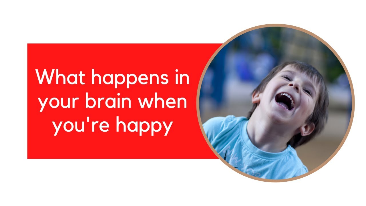What happens in your brain when you're happy | Health & Wellness Talk ...