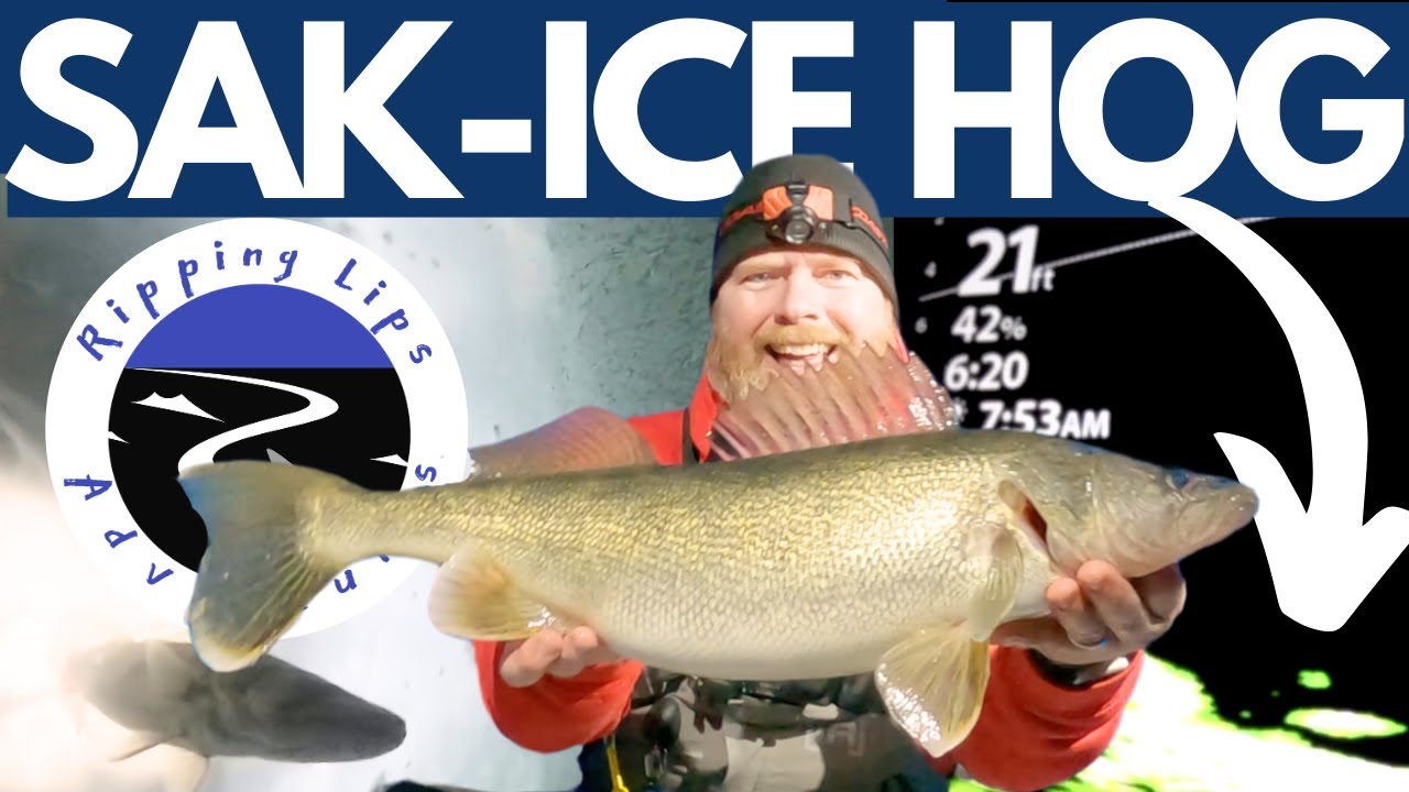 -9 Degrees/20 mph Extreme Ice Hogs & All Alone - YouTube