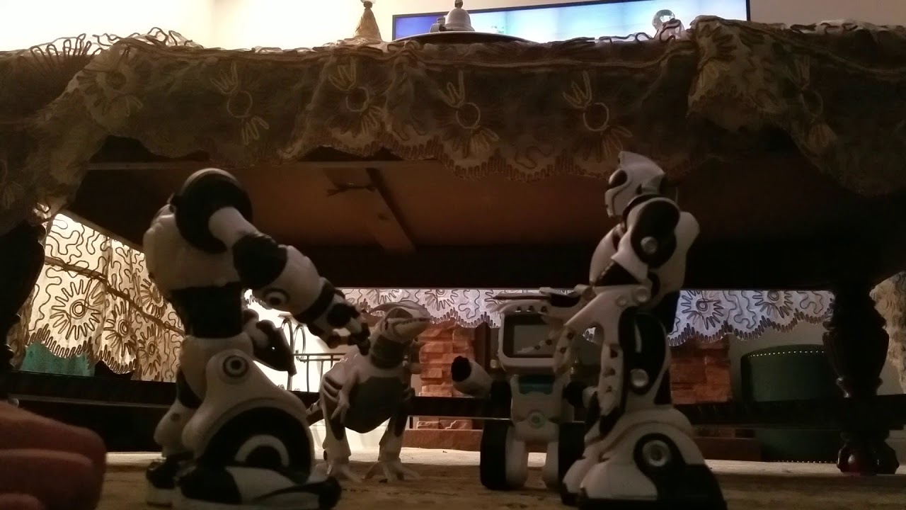 Mini robots roast each other - YouTube