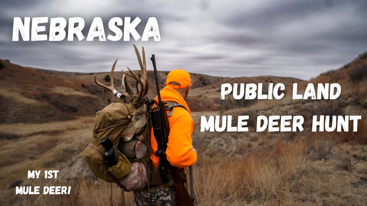 Nebraska PUBLIC LAND Mule Deer Hunt! My 1st Ever Mule Deer! - YouTube