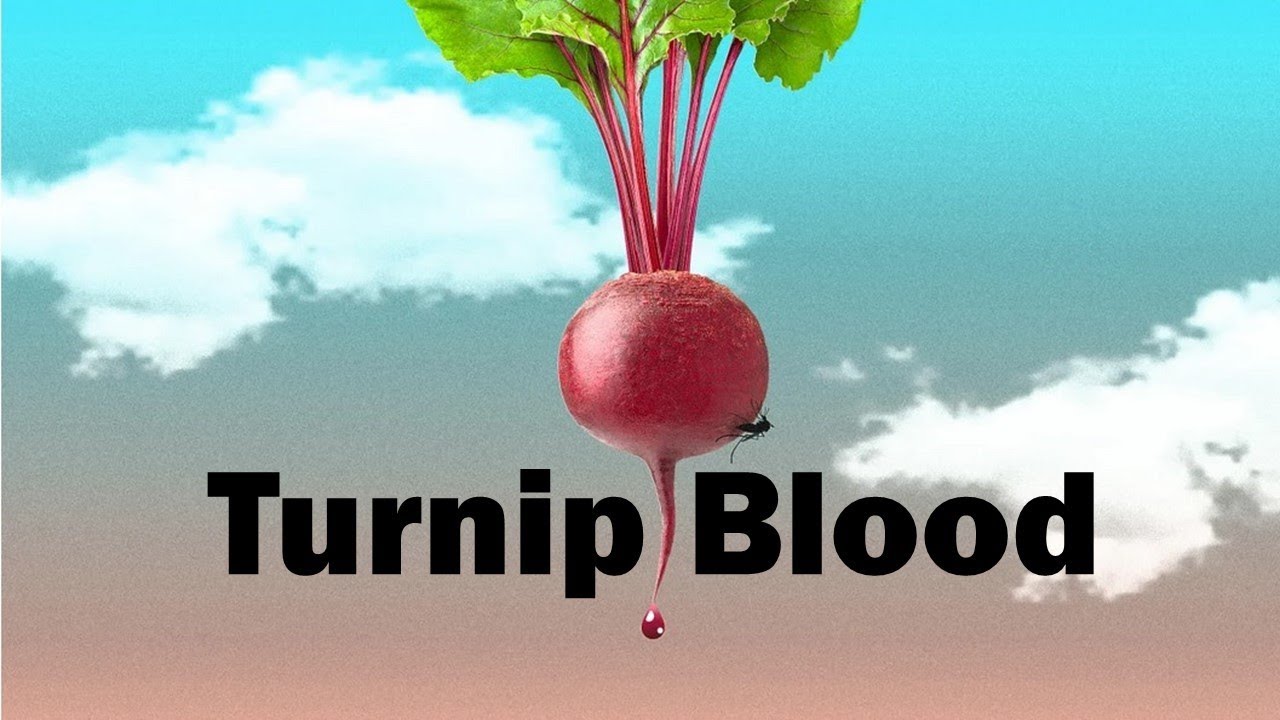 Turnip Blood - October 23, 2022 - YouTube