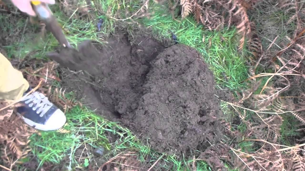 metal detecting ww1/ww2 battlefield relic hunting artillery shells ...