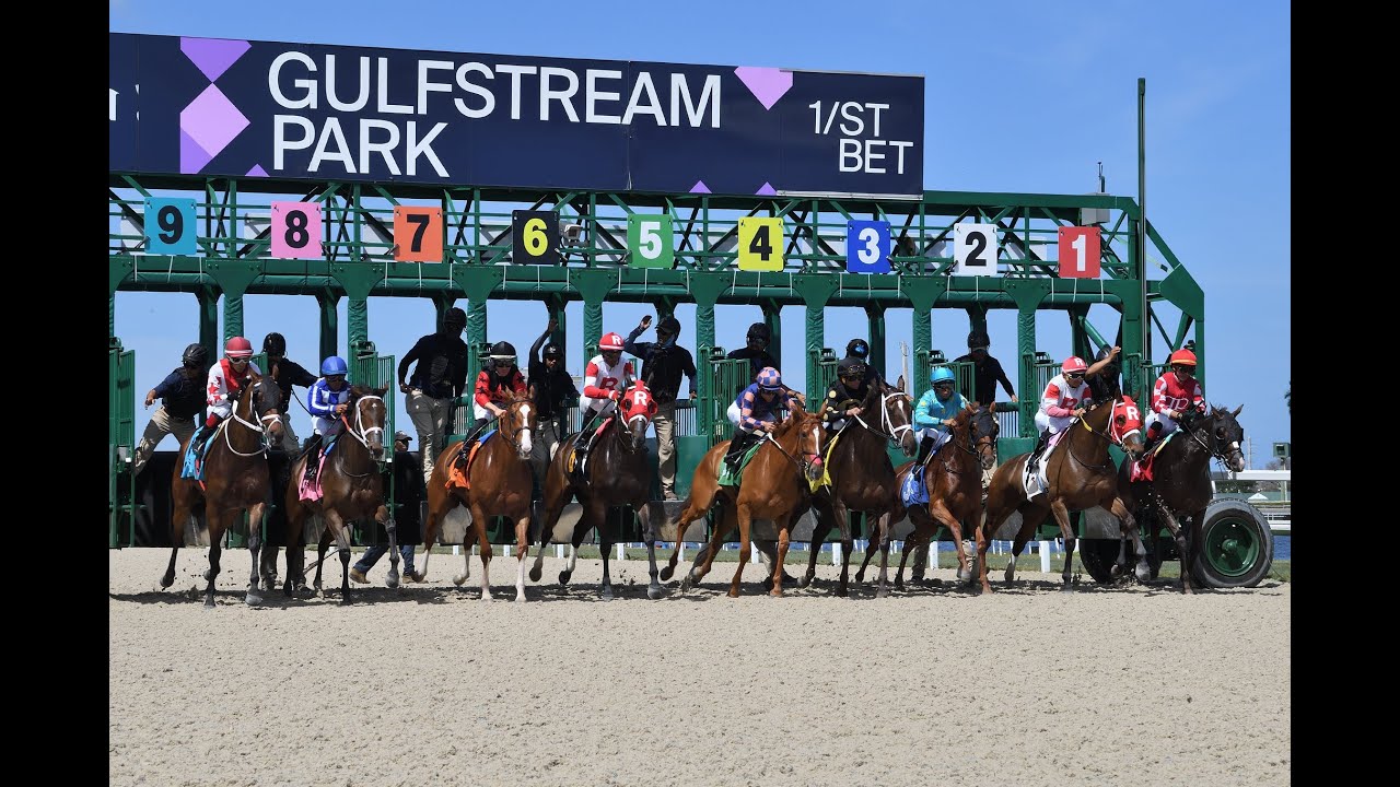 BATACAZO GULFSTREAM PARK JUEVES, 26 DE DICIEMBRE 24. - YouTube