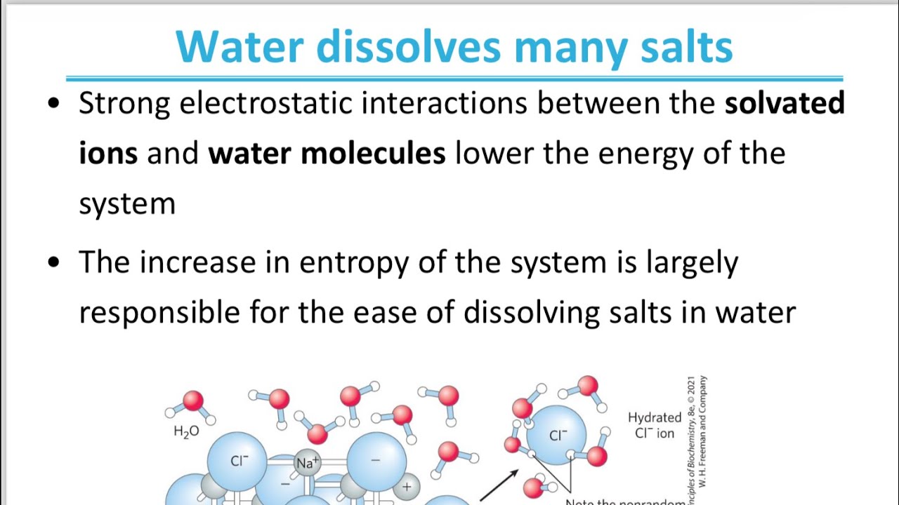 Introduction to biochemistry,water molecule and characteristics - YouTube