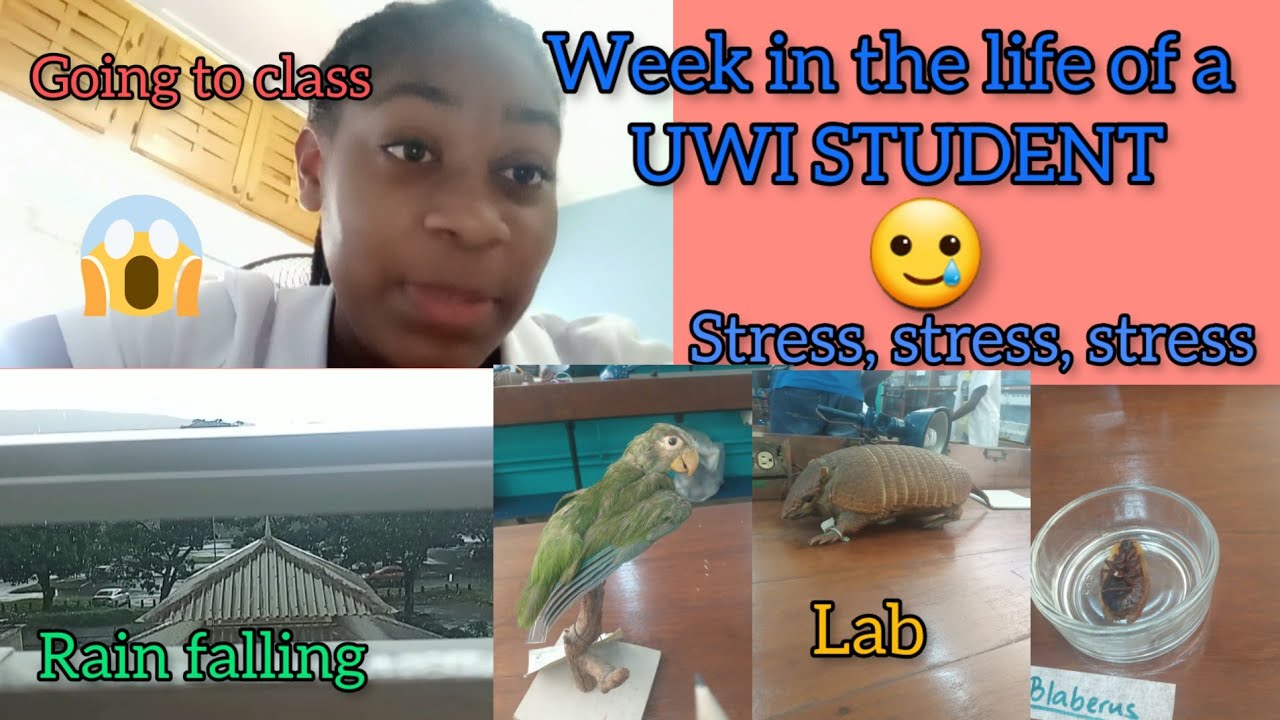 WEEK IN THE LIFE OF A UWI STUDENT~°|TONI-ASHLAAY♡ ~realistic week~2022 ...