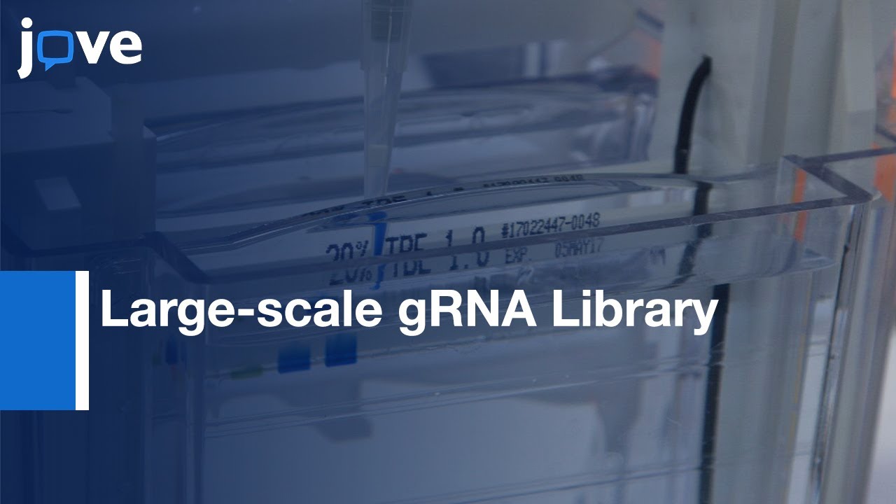 Large-scale gRNA Library Production from DNA Source | Protocol Preview ...