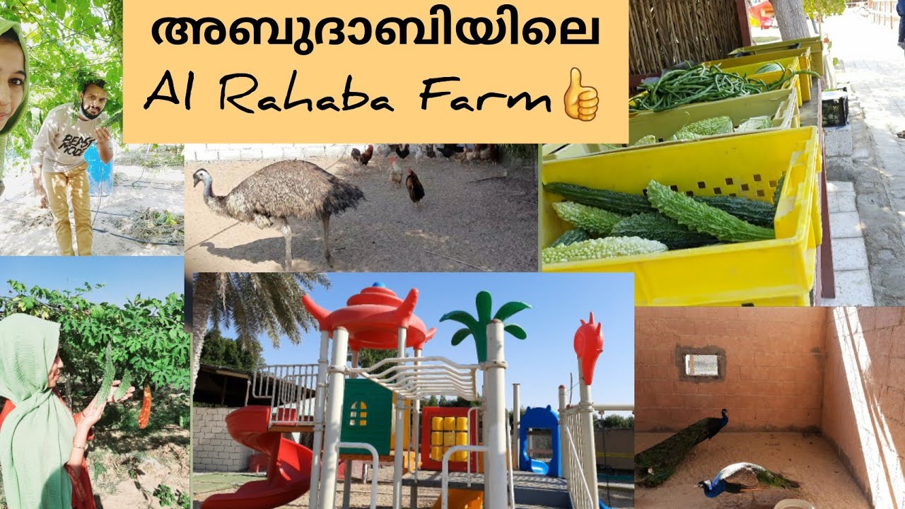 കൃഷി എന്നാൽ ജീവന് തുല്യം.. അത് മരുഭൂമിയിൽ ആയാലും😍|Abu Dhabi Organic ...