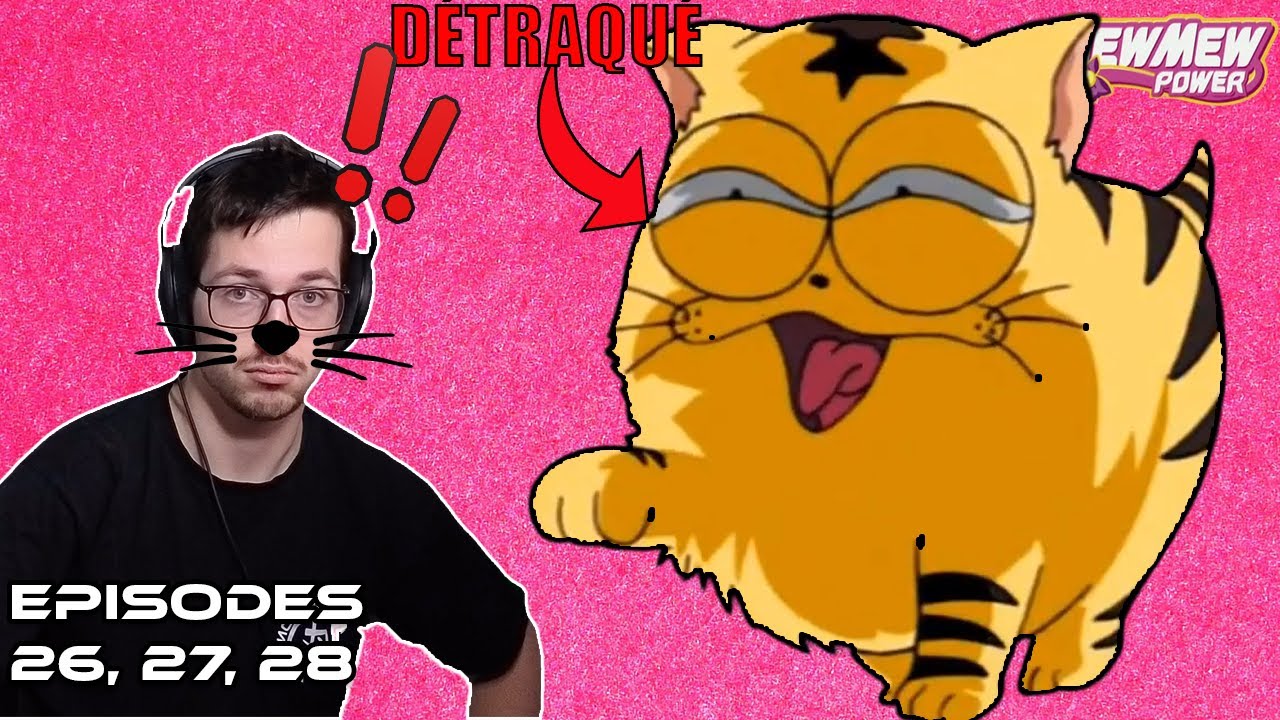 IL FAUT ENFERMER CE CHAT | Mew Mew Power épisodes 27, 28 et 29 - YouTube
