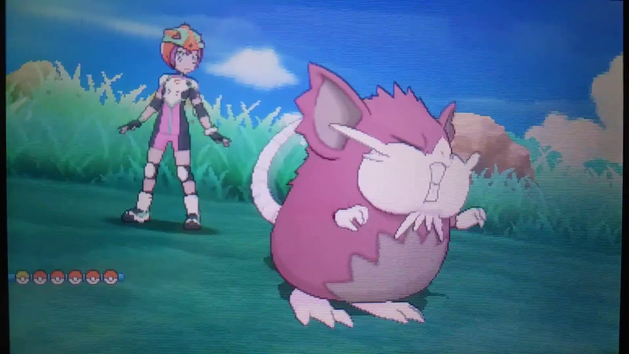 Pokemon Sun: Shiny (Alolan) Raticate after 726 SOS encounters! - YouTube